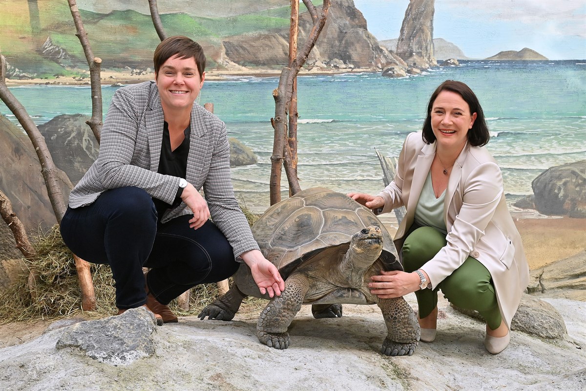125 Jahre Zoo Rostock | Rostock-Heute